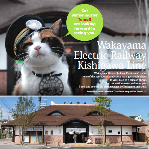 Stray Calico Cat Single Paw-dedly Brought Prosperity to a Railway