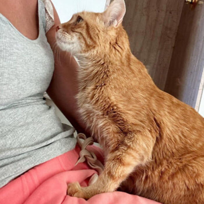 20-Year-Old Chatty Kitty Finds Angels in Disguise, not Euthanasia