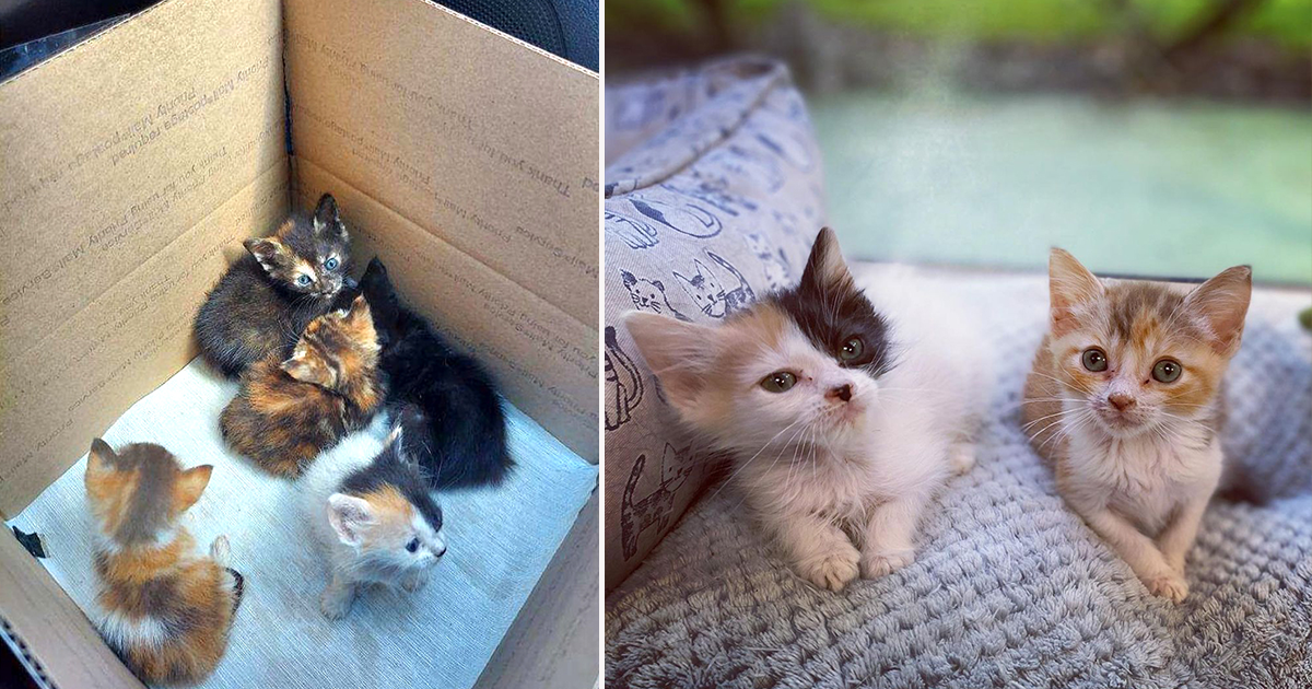Meet the 'Hot Mess Express' Dropped in a Box at a Charity's Door
