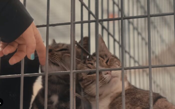 BREAKING: Renovations Begin At Former Testing Facility Where More Than ...