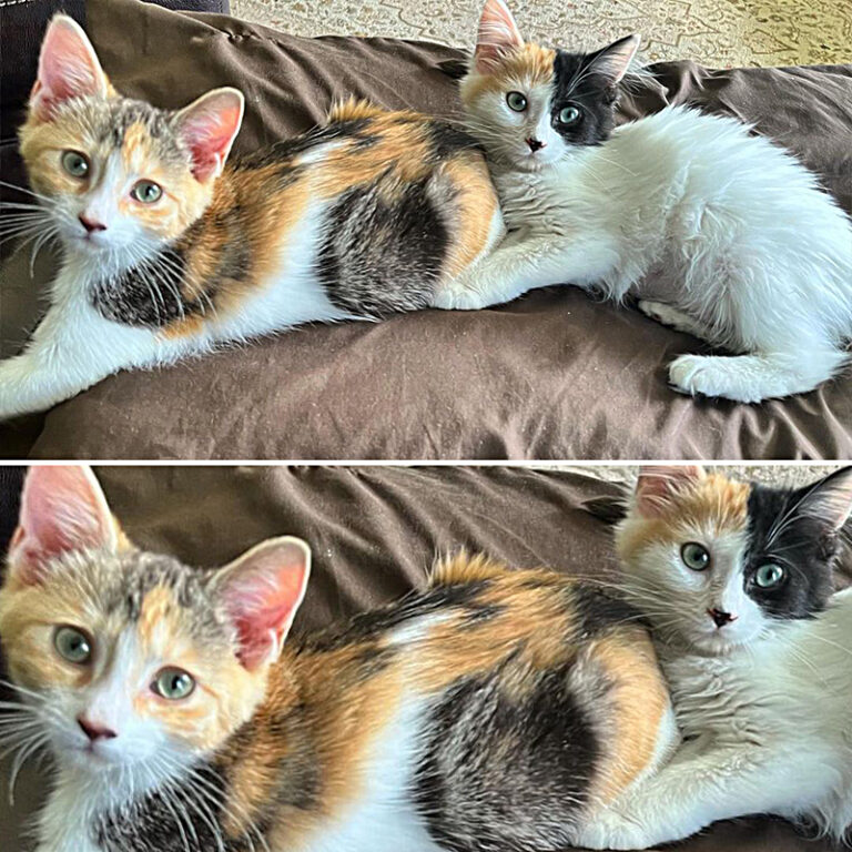 Meet the 'Hot Mess Express' Dropped in a Box at a Charity's Door