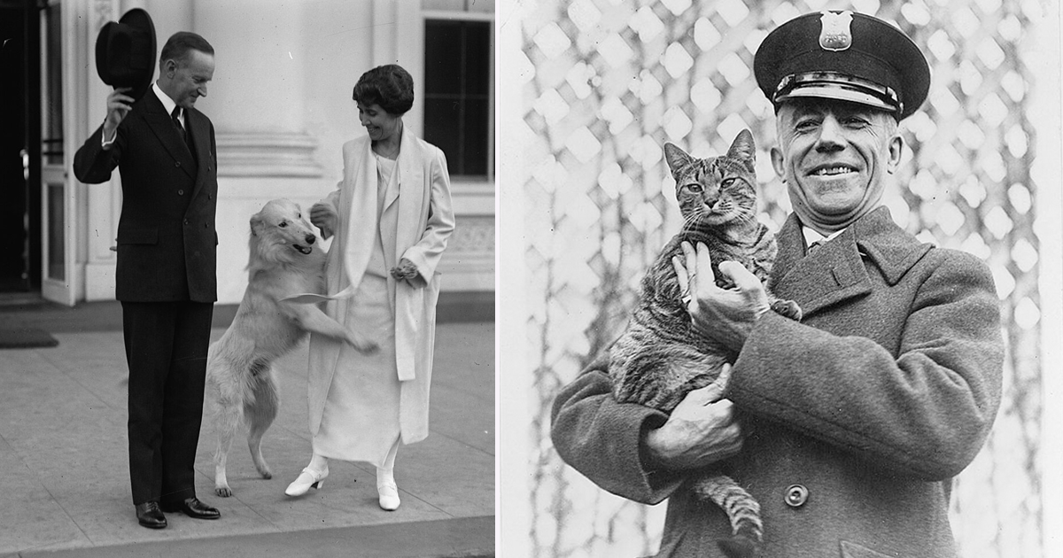 Famous Cat Dad Cracks a Rare Smile After a Historic Reunion