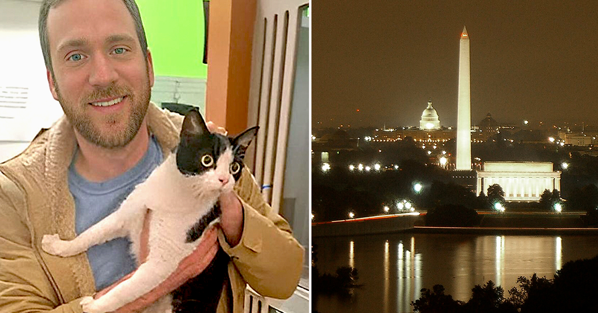 Family's Imagination Helps Them Hang Onto Hope for Lost Cat