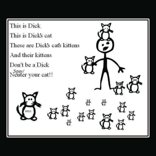 Funny Memes Celebrating the All-Important Spay Day