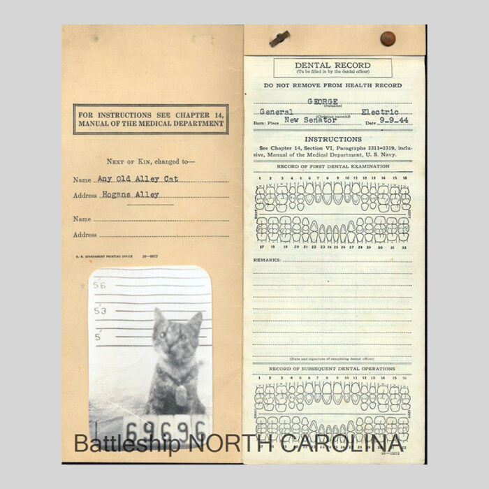 Distinguished Cat With Hilarious Official Records Aboard WWII ...