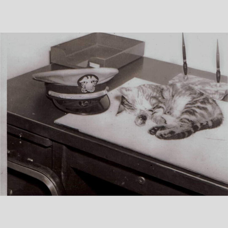 Distinguished Cat With Hilarious Official Records Aboard WWII ...