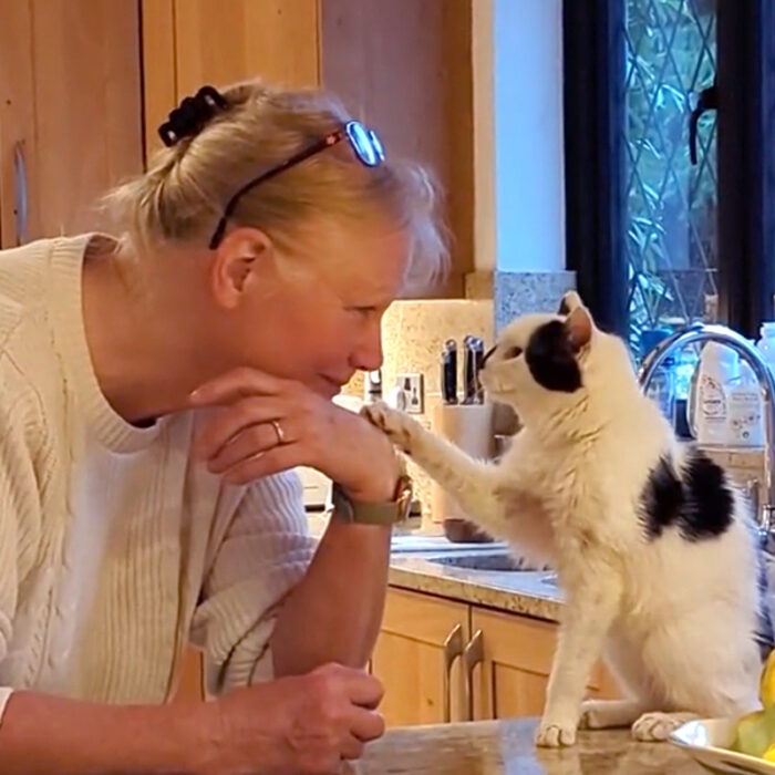 20 Year Old Cat with Dementia 'Loves Mum More Than Anything in the World' - Cole & Marmalade