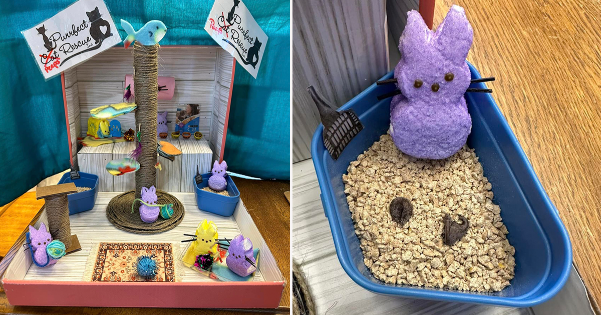 Rescue Pawses to Celebrate the Fun of Easter with Feline Peeps - Cole ...