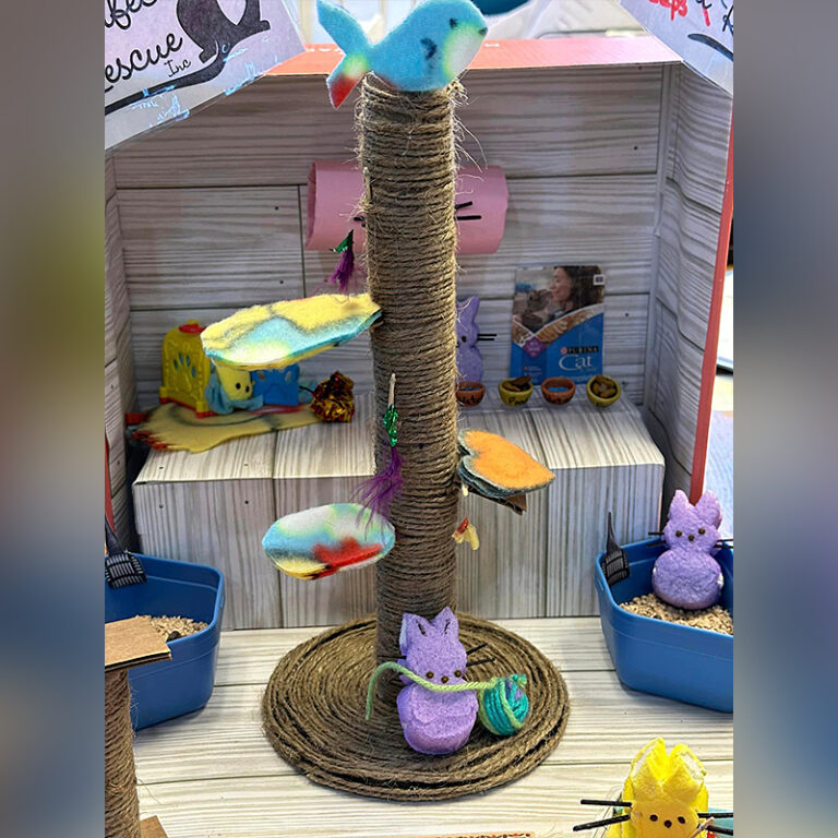 Rescue Pawses to Celebrate the Fun of Easter with Feline Peeps - Cole ...