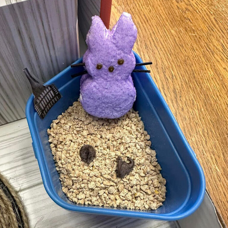 Rescue Pawses to Celebrate the Fun of Easter with Feline Peeps - Cole ...