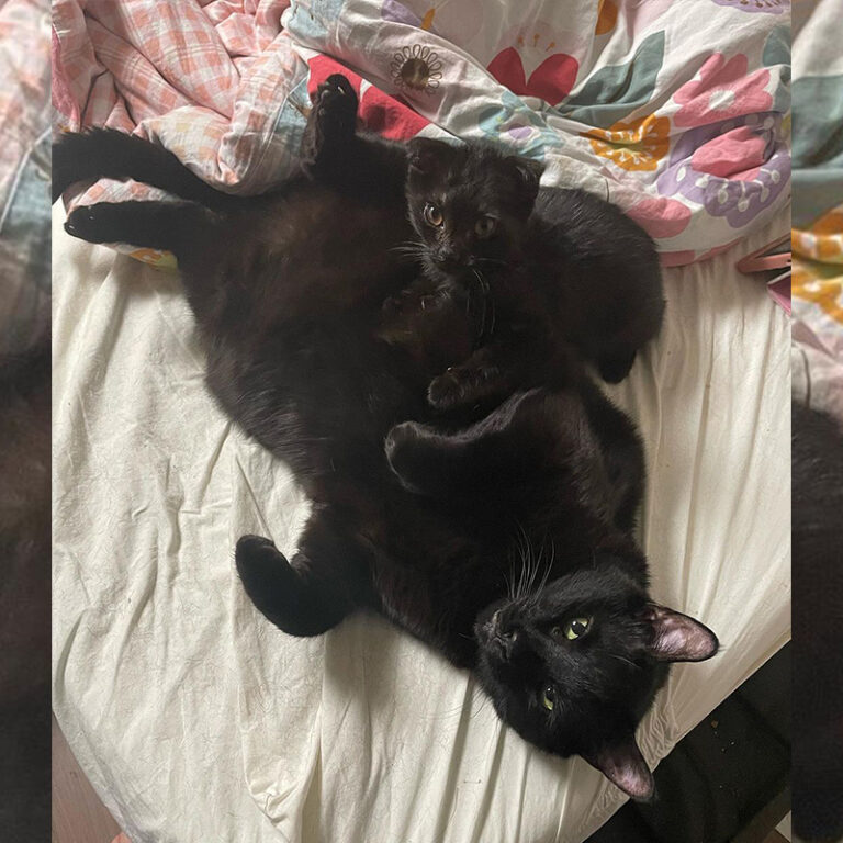 Odd Twist Gives Clues About Where 'Soot Sprite' Came From