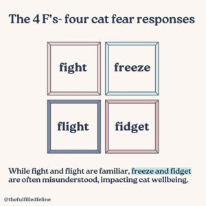 Two Often Misinterpreted Ways a Cat May React to Fear and Stress - Cole ...
