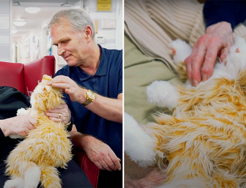 How to Celebrate Easter with Cats! - Cole & Marmalade