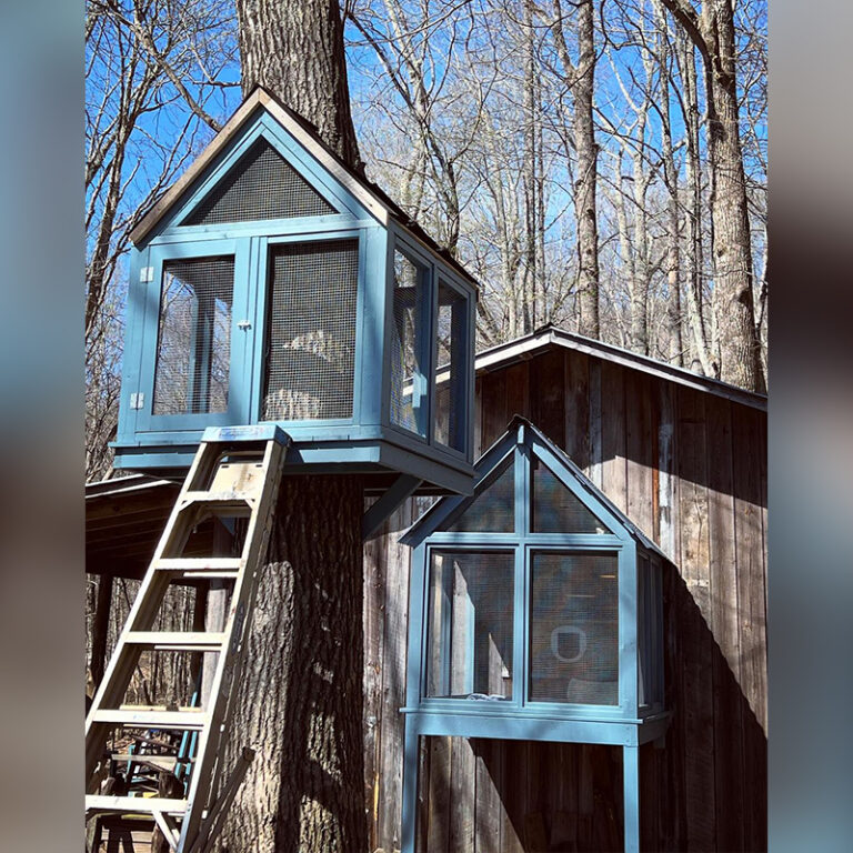 Enchanting Catio Treehouse Gives Rescued Kittens a View from Above ...