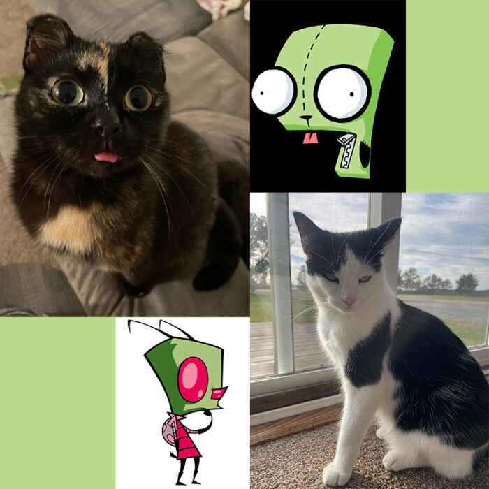 Two Rescued Cats are Total Goobers and That's Why We Love Them - Cole ...