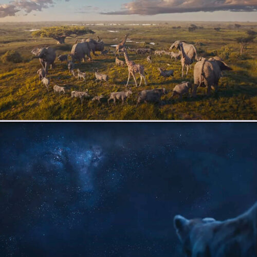 Explore Mufasa and Scar’s Early Days As Cubs in a New Lion King Prequel ...