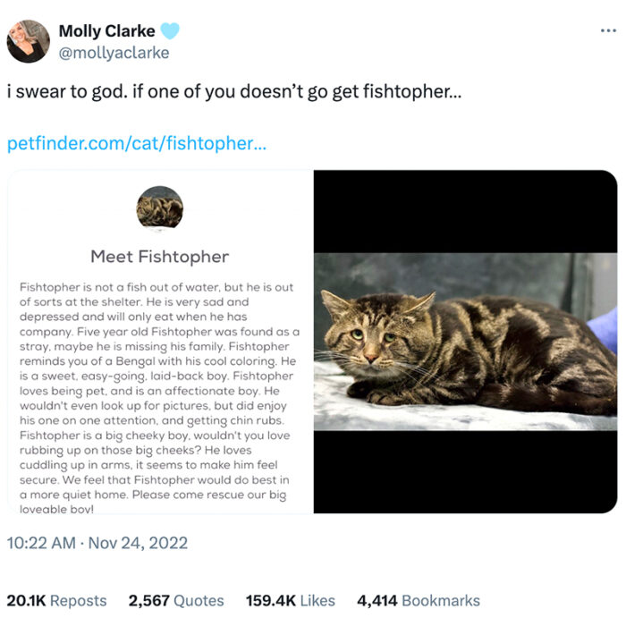 Forlorn 'Fishtopher' Shows How Much Love Changes Everything - Cole ...