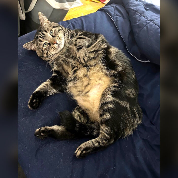 Forlorn 'Fishtopher' Shows How Much Love Changes Everything - Cole ...