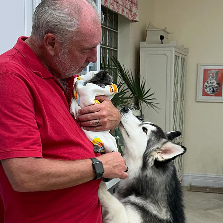Canine Foster Uncle Excitedly Greets 'Cow and Chicken' Kittens Each ...
