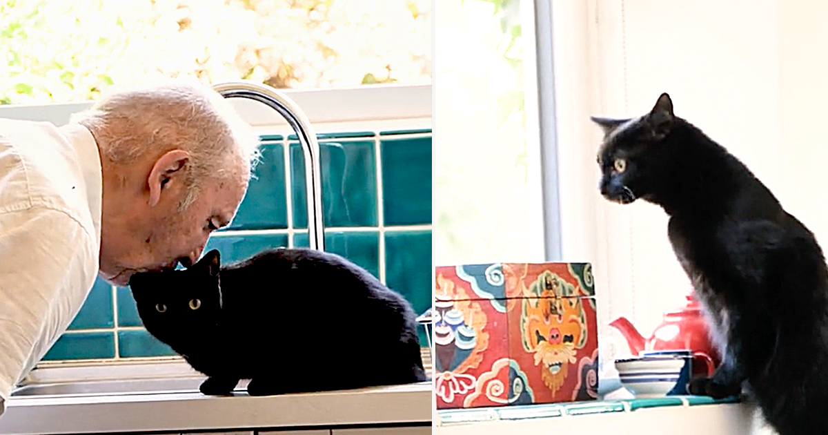 Elusive Black Cat Juno Finally Caught on Camera with Her Adoring Dad ...