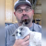 Why a Kitty Adopted Through a Barn Cat Program Obviously Lied On His ...