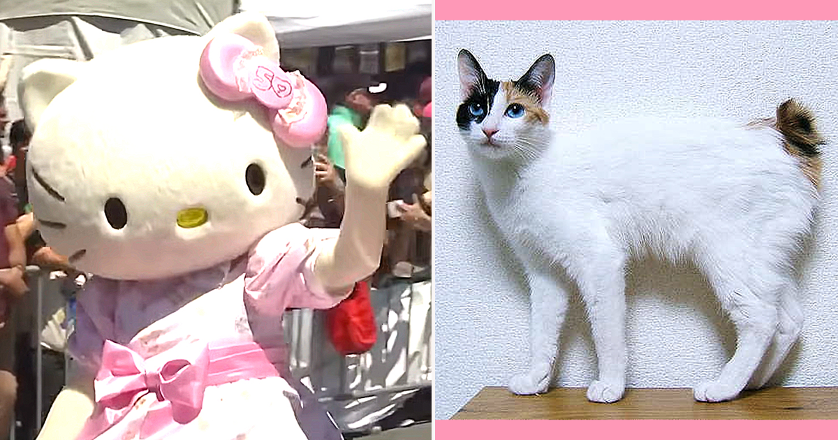 Hello Kitty: Still A Cute Enduring Mewstery to Many After 50 Years ...