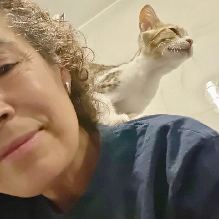 Where is Rodri? Family Searches for Months for Beloved Cat Lost Aboard ...