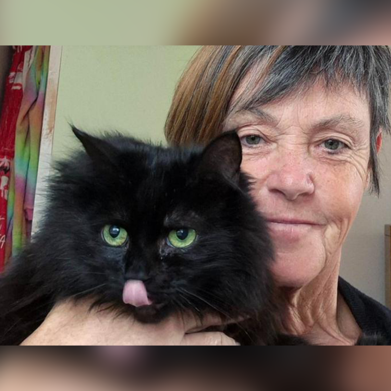 Cat Found His Own Mojo After Disappearing for Four Years, Only to ...
