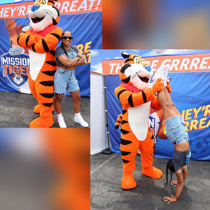 Cats 'Help' Athletes at the Paris Olympics Bring Home the Gold In Their ...
