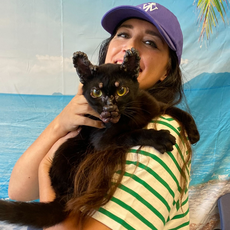 Heartwarming Hospice Adoption Allows 'Griffin' the Cat to Experience ...