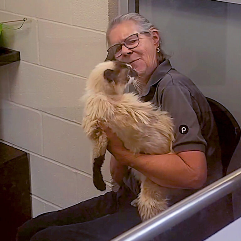 Once-In-A-Lifetime Joy Caught on Video in Microchip Reunion for 'Sam ...