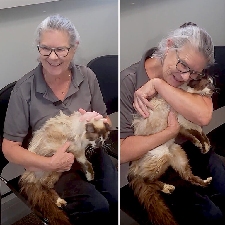 Once-In-A-Lifetime Joy Caught on Video in Microchip Reunion for 'Sam ...