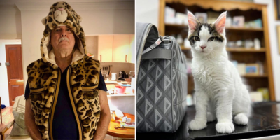 Legendary Comedian John Cleese Welcomes Lucky 'Proper Cat' to the ...