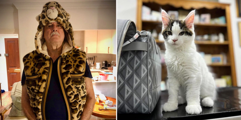 Legendary Comedian John Cleese Welcomes Lucky 'Proper Cat' to the ...