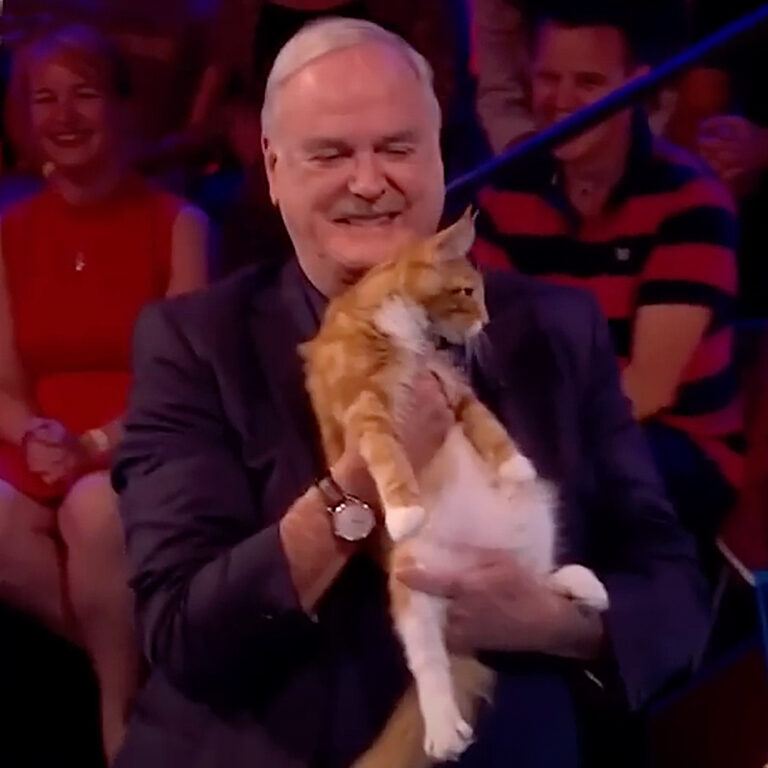 Legendary Comedian John Cleese Welcomes Lucky 'Proper Cat' to the ...