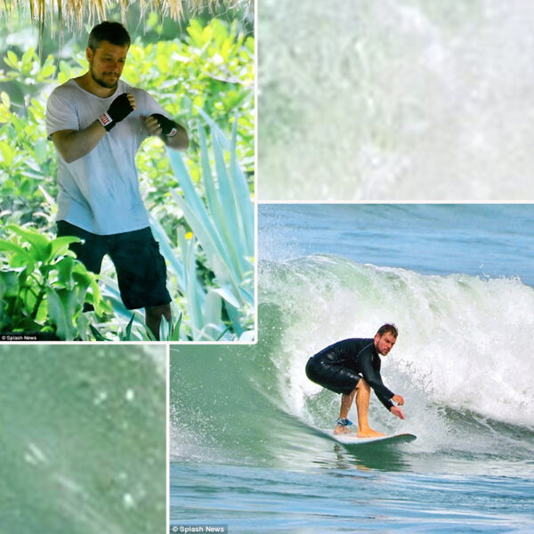 Matt Damon's Tough 'Jungle Cat' from Costa Rica and How He Beat Cancer ...