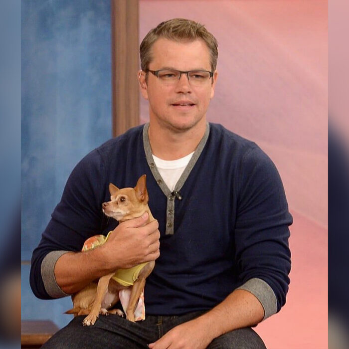 Matt Damon's Tough 'Jungle Cat' from Costa Rica and How He Beat Cancer ...