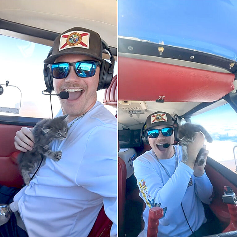 Volunteer Pilot Takes to the Skies To Save the Cutest Kitten Passengers ...