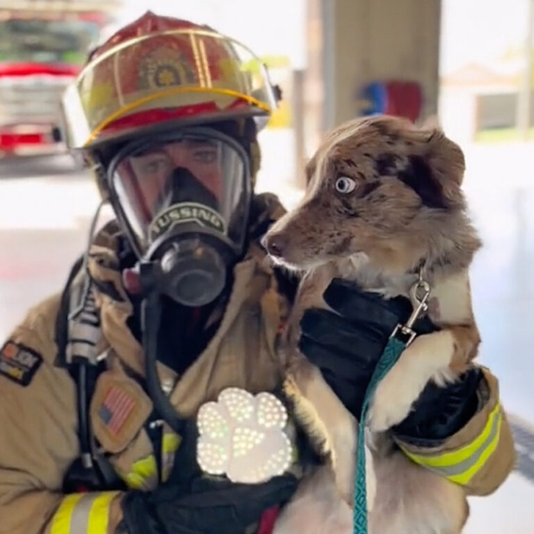 Firefighter and Twin Invent Device to Help Locate and Save Pets in Home ...