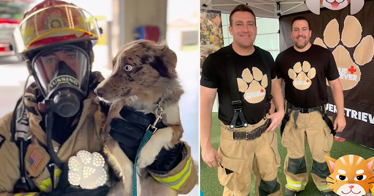 Firefighter and Twin Invent Device to Help Locate and Save Pets in Home ...