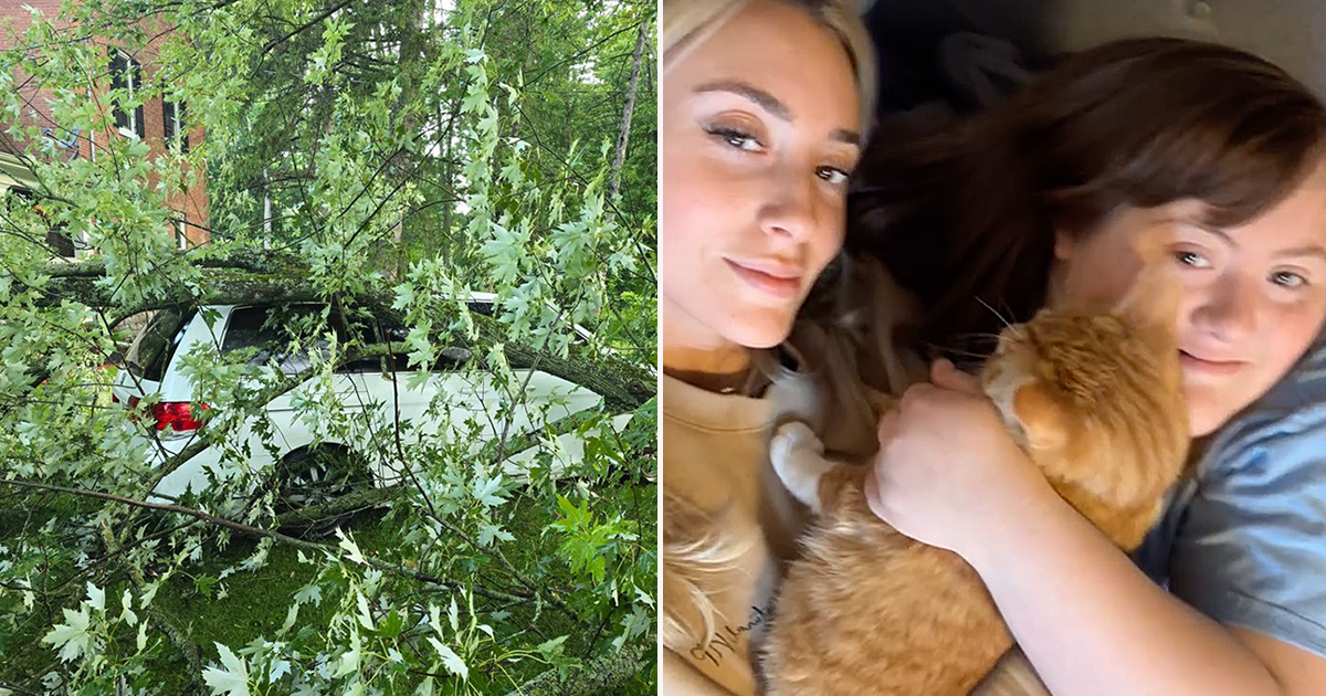 Sisters Fight to Keep Rochester Rescue Running After a Freak Accident ...