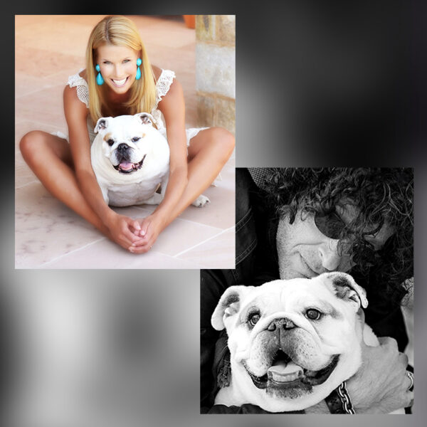 Stars Build a Dream Adoption Center Inspired by Beth and Howard Stern's ...