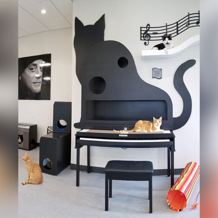 Stars Build a Dream Adoption Center Inspired by Beth and Howard Stern's ...