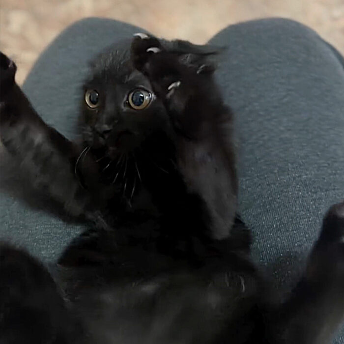 The Next Generation of 'Stick 'Em Up!' Reminds Us of Our Favorite Lil ...