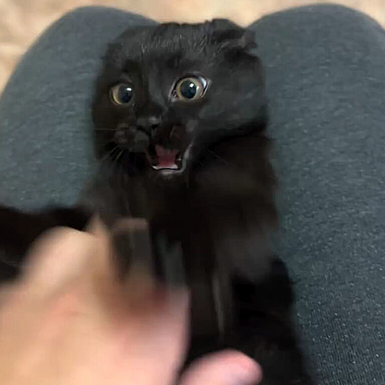 The Next Generation of 'Stick 'Em Up!' Reminds Us of Our Favorite Lil ...