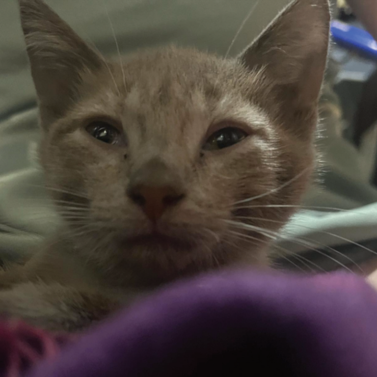 It Wasn't Trash Lying in the Road, But A Treasure Chest-er! - Cole ...