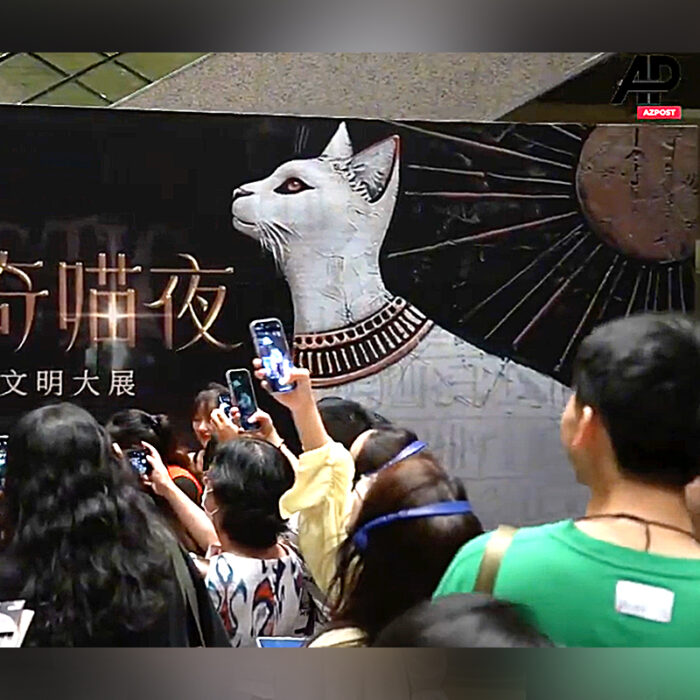 Museum's 'Meow Night' Allowed Cats to View Ancient Egyptian Felines in ...