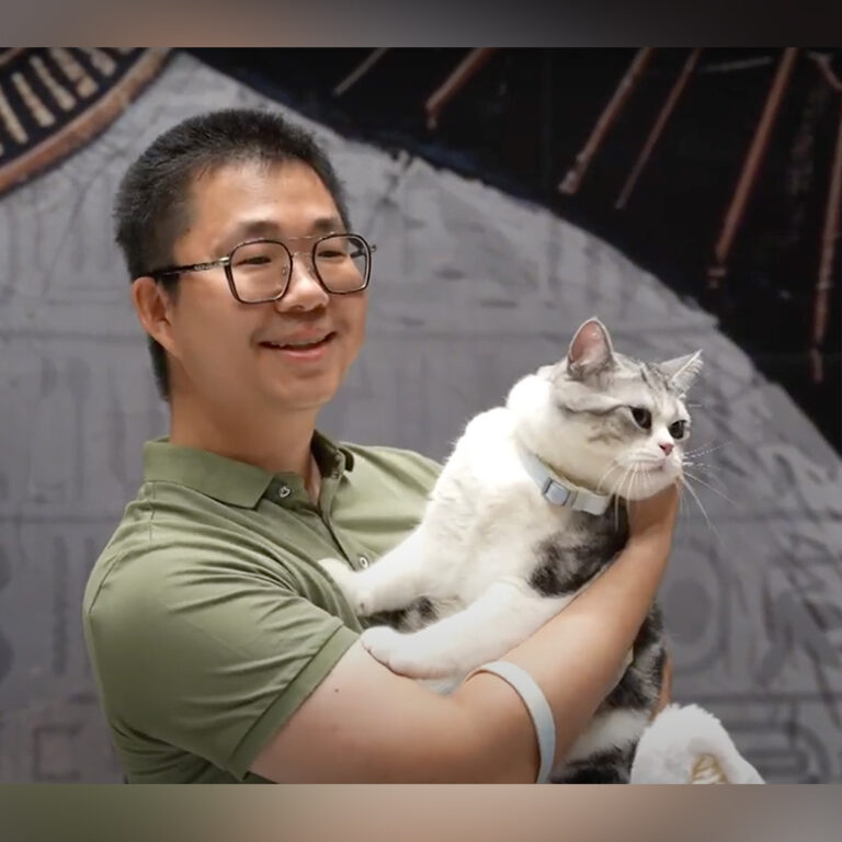 Museum's 'Meow Night' Allowed Cats to View Ancient Egyptian Felines in ...