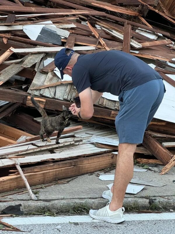Hurricane Milton Destroys Business, But Tiny Kitten Saved From Rubble ...
