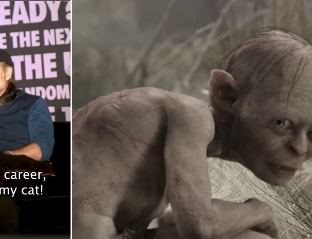 Kitten Covered In Hearts Helps Heal Family After The Loss Of Their Cat ...